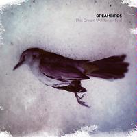 Nurse ' s Song Song Download by DREAMBIRDS – This Dream Will Never End ...