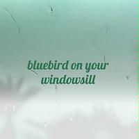 Bluebird on Your Windowsill Songs Download, MP3 Song Download Free ...