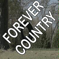 Forever Country - Tribute to Artists Of Then, Now And Forever Songs ...
