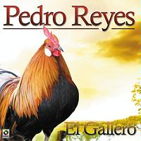 El Gallero Songs Download, MP3 Song Download Free Online - Hungama.com