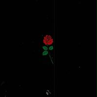 Nashtarr MP3 Songs Download | Nashtarr New Songs (2023) List | Super ...