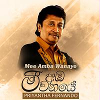 Mee Amba Wanaye Songs Download, MP3 Song Download Free Online - Hungama.com