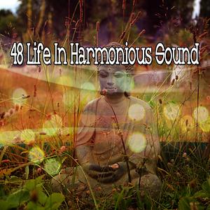 48 Life In Harmonious Sound Songs Download, MP3 Song Download Free ...